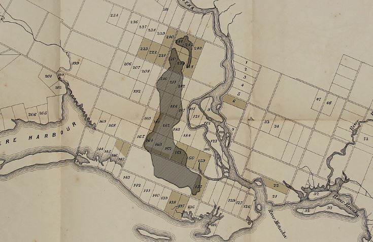 Te Maatu: Some Early Perspectives